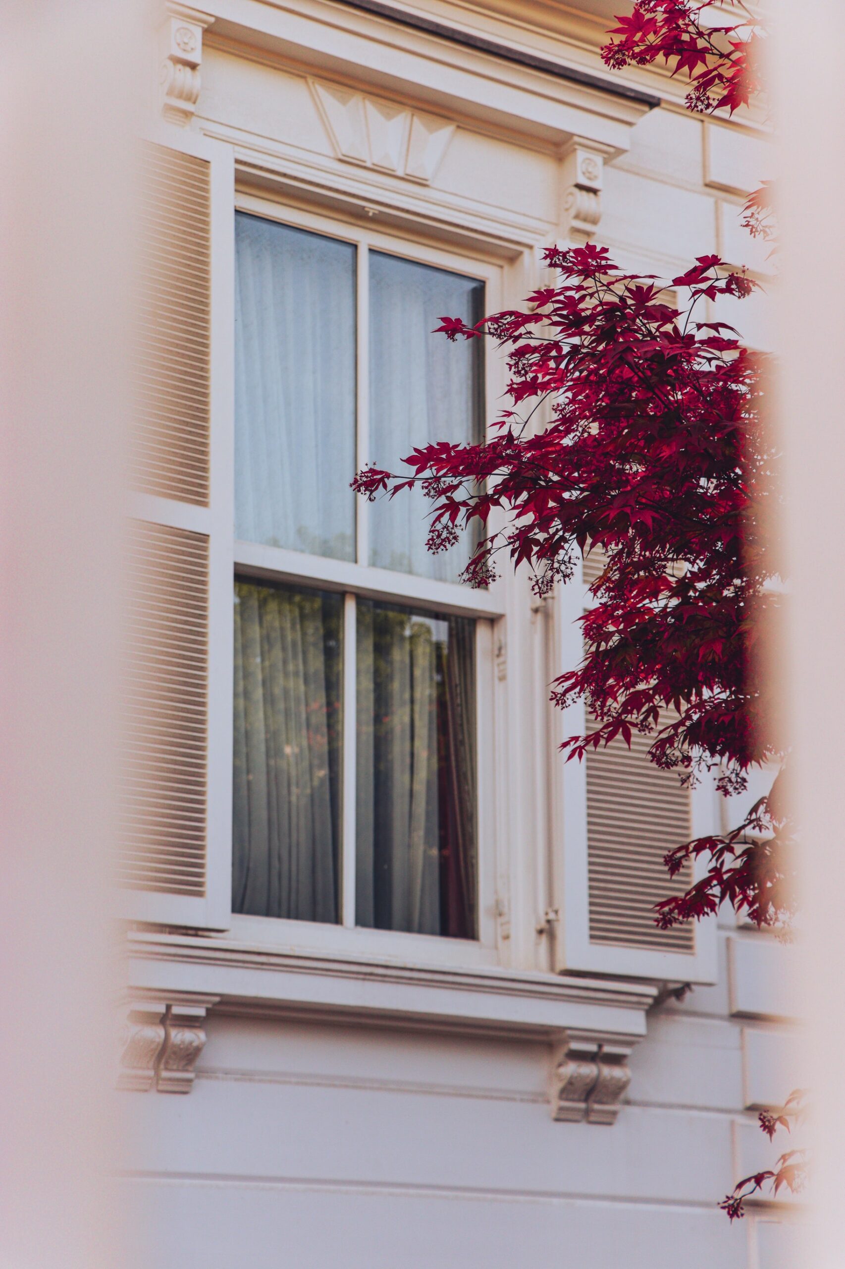 Awning Windows Replacement Birmingham AL | The Best Awning Windows ...